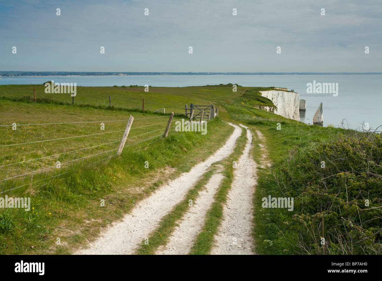 Coastal path close to Old Harry Rocks near Swanage on the Isle of ...