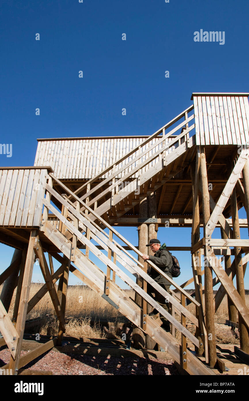 Birdwatcher bird watcher bird watching birdwatching hi-res stock ...