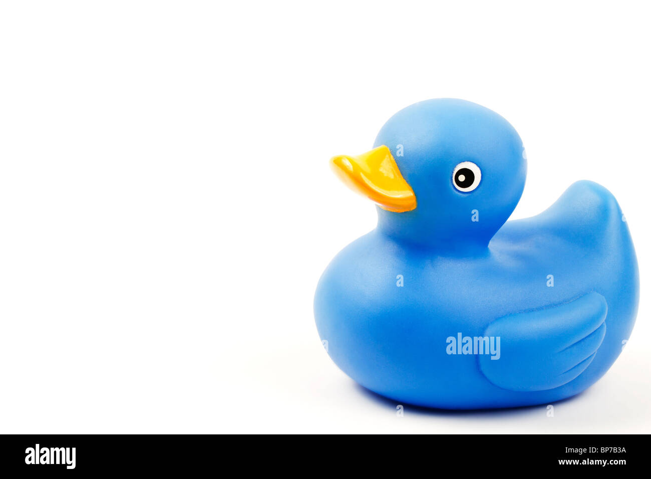 White ducky hi-res stock photography and images - Alamy