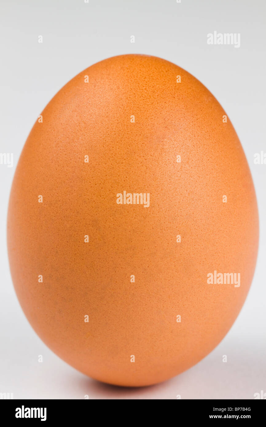 closeup of an brown egg on white background Stock Photo - Alamy