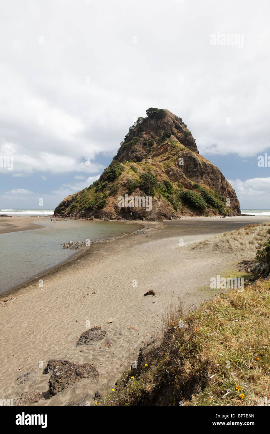 Piha beach in new zealand hi-res stock photography and images - Alamy
