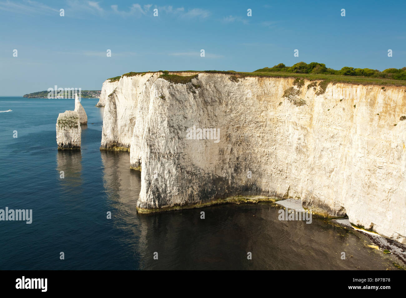 Rock stacks and chalk cliffs on Dorset's coast close to Old Harry Rocks ...