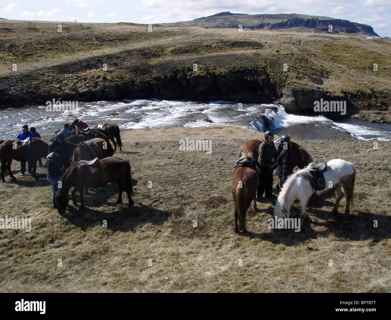 Tourists riding on icelandic horses, Iceland Stock Photo - Alamy