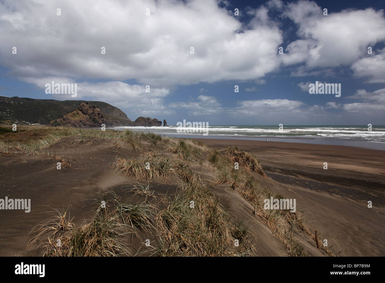 Piha beach nz hi-res stock photography and images - Alamy