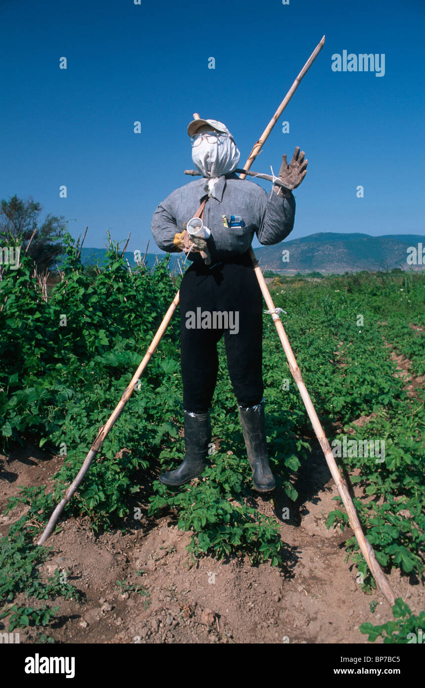 Scarecrow making hi-res stock photography and images - Alamy