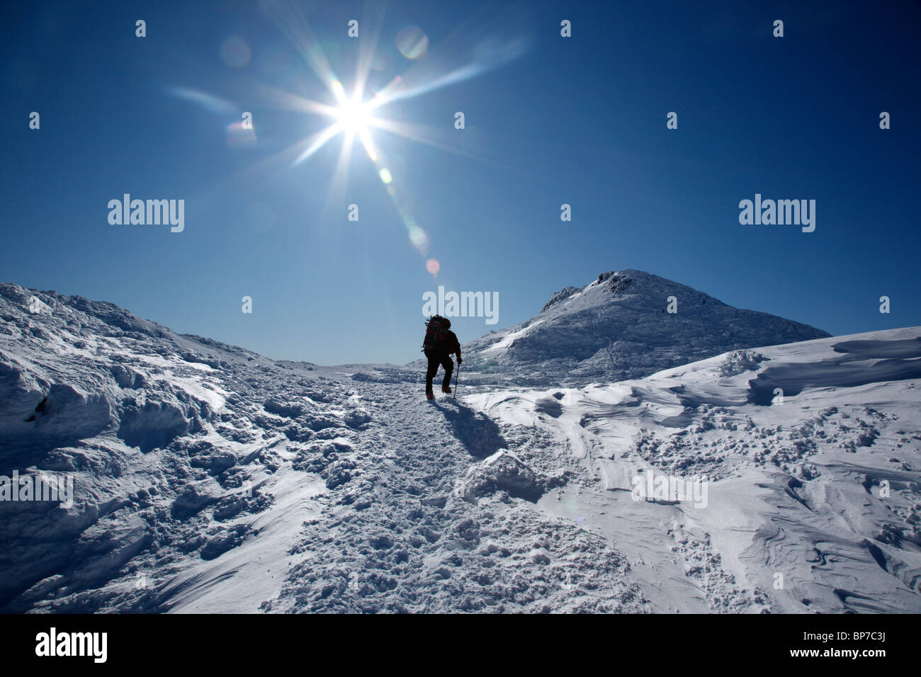 Appalachian Trail - Hiker along the Crawford Path in the Presidential ...