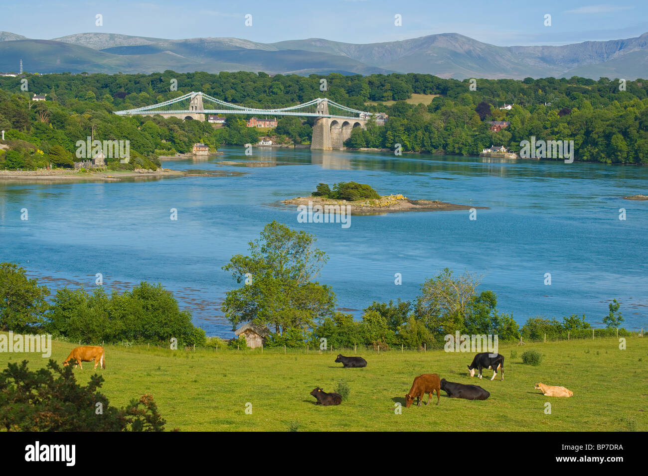 Anglesey menai bridge hi-res stock photography and images - Alamy