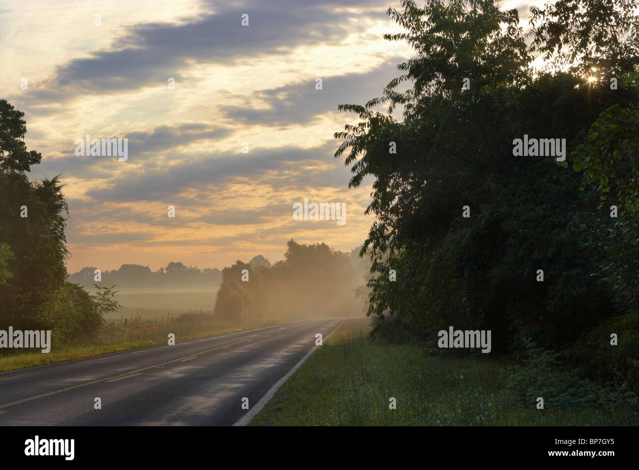 Misty summer morning country road hi-res stock photography and images ...