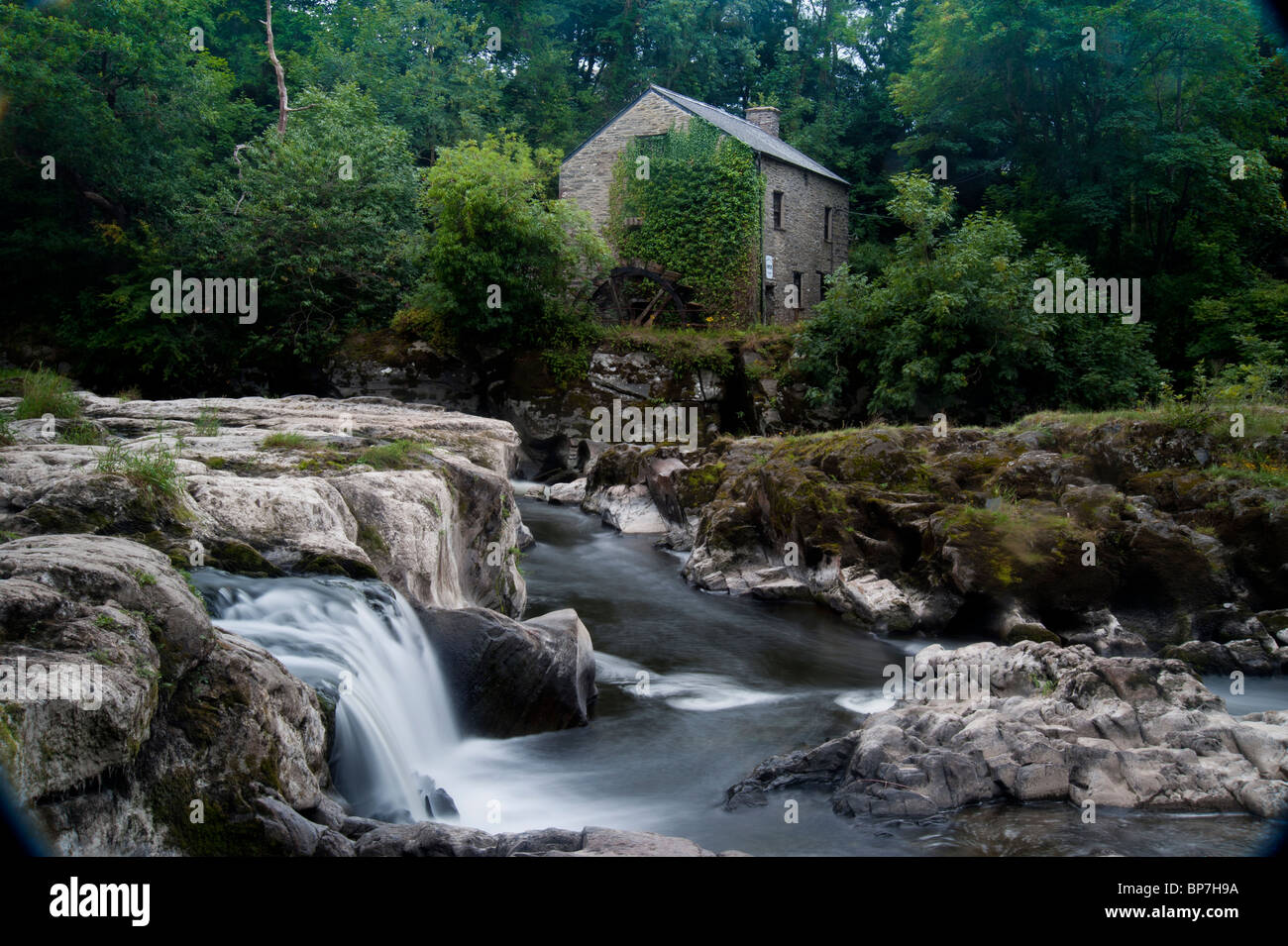 The water falls at cenarth falls west Wales with the old water mill in ...