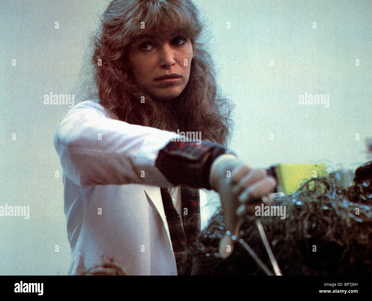 Ann Turkel High Resolution Stock Photography and Images - Alamy