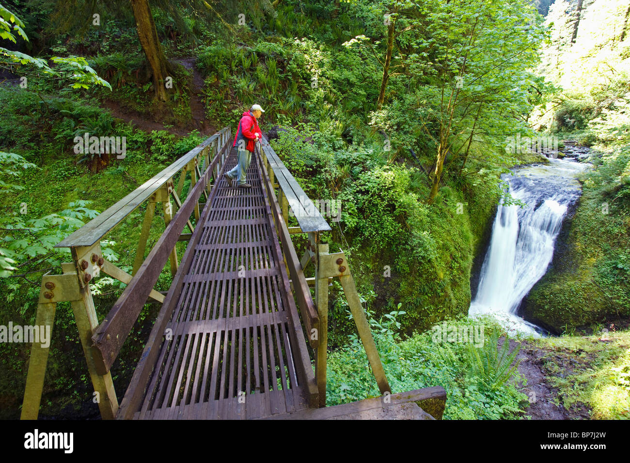 Columbia river gorge middle oneonta falls united of america hi-res ...