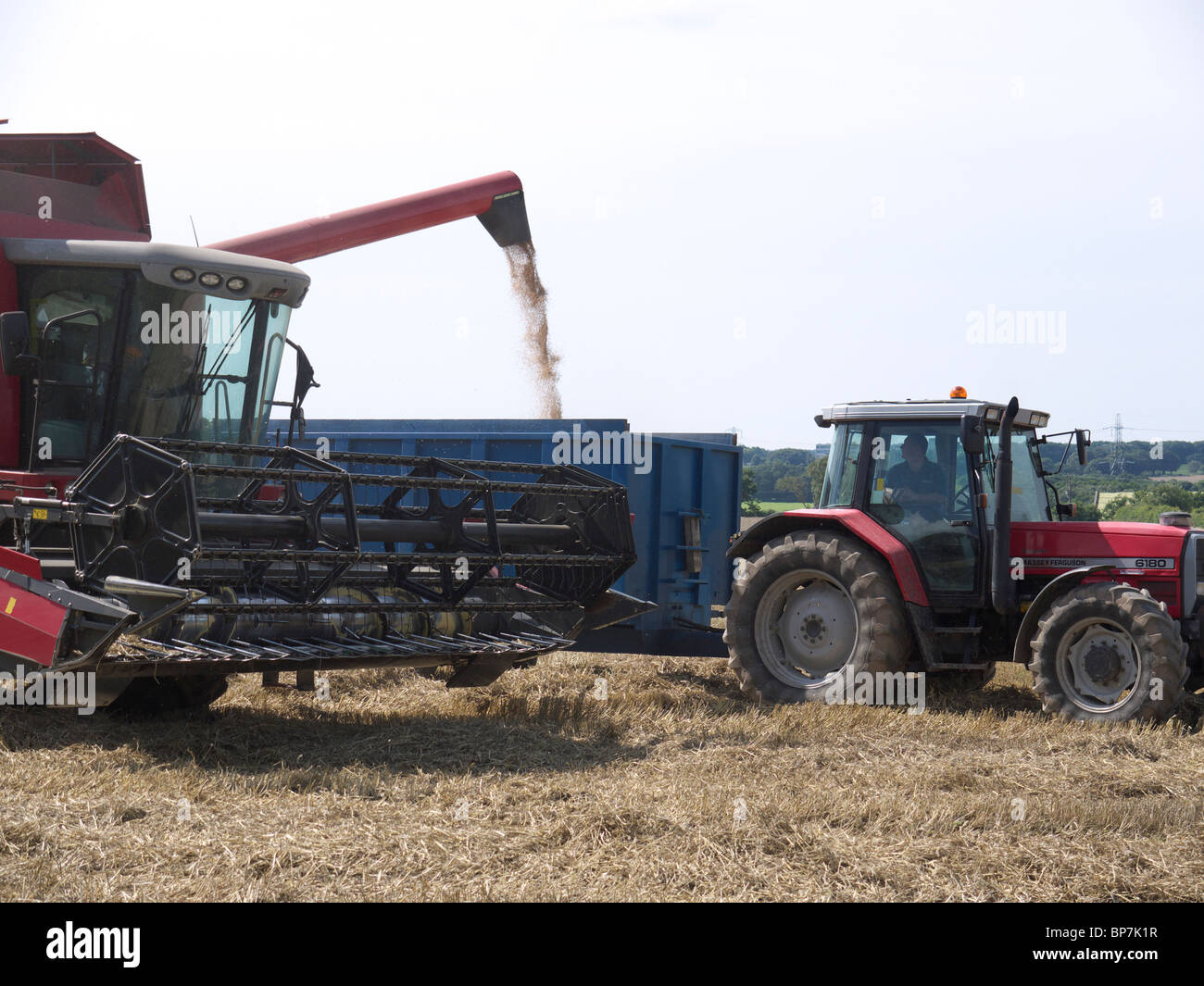 Combine Harvester loading grain truck, Lancashire, England, UK Stock ... Combine Harvester loading grain truck, Lancashire, England, UK Stock ...