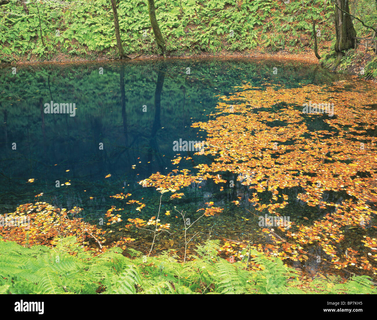 Lake Juuniko, Aomori Prefecture, Japan Stock Photo - Alamy