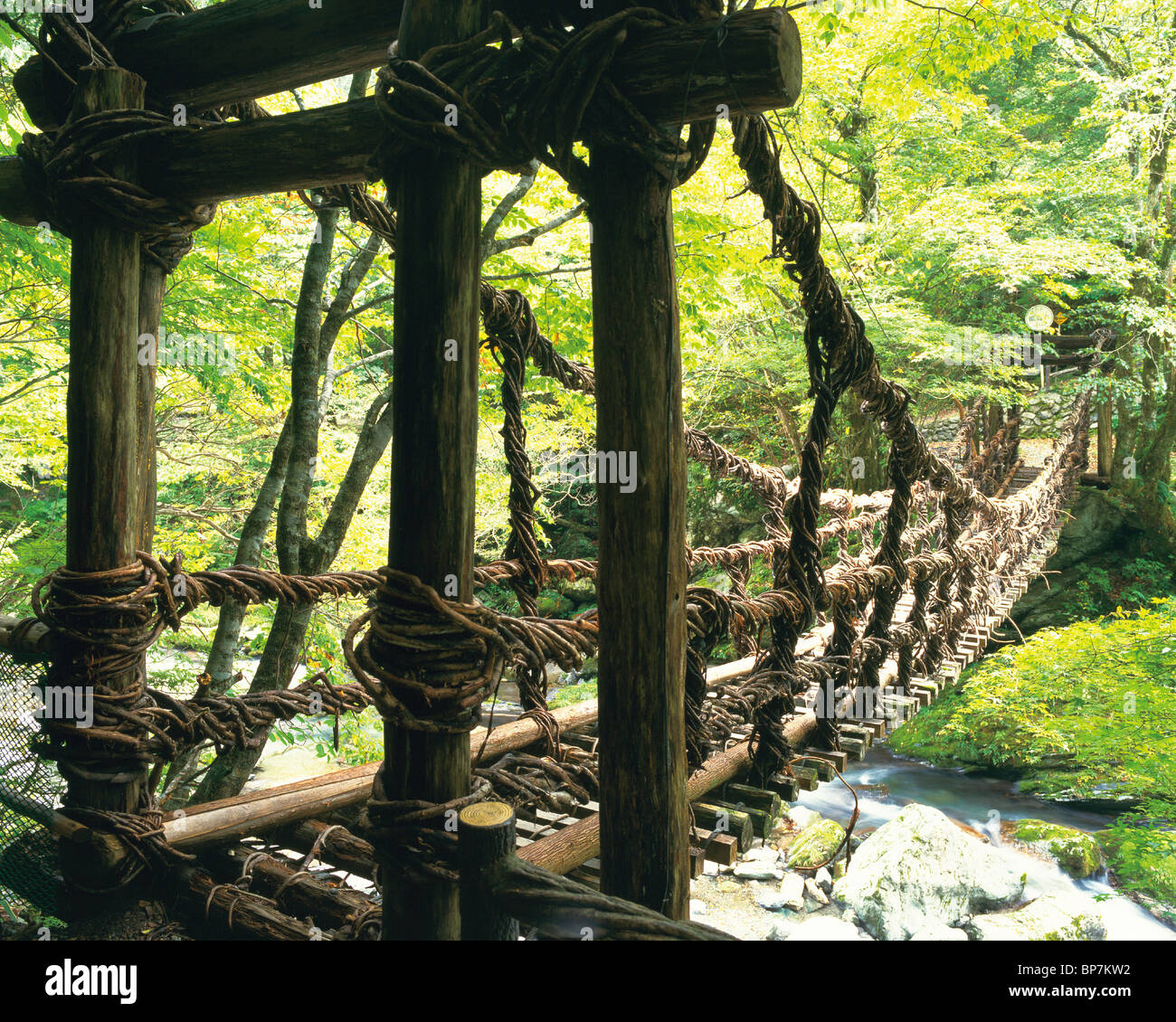 A Vine Bridge in Iya Valley, Miyoshi, Tokushima Prefecture, Japan Stock ...