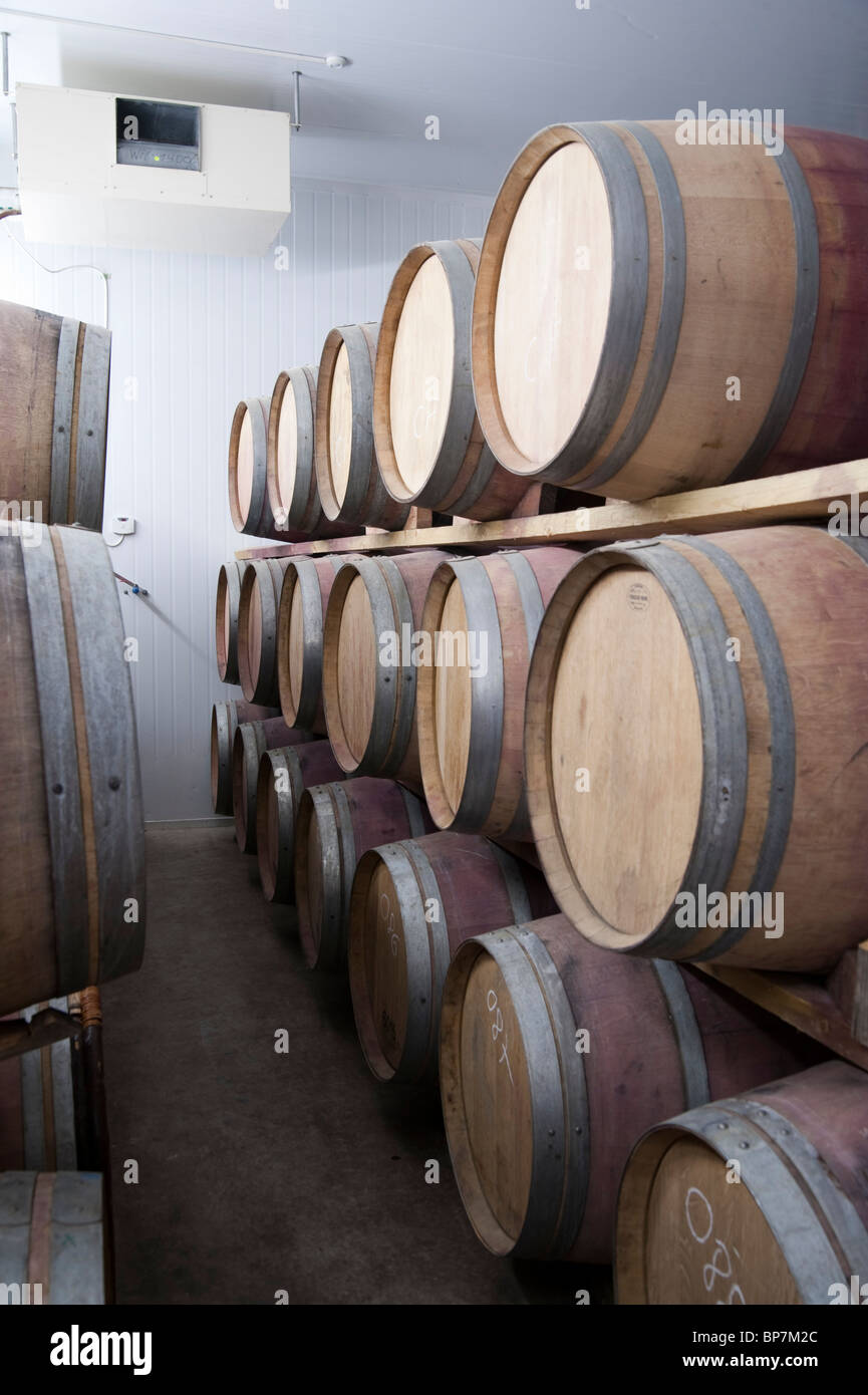 Wine barrel storage in a winery wine cellar Stock Photo - Alamy