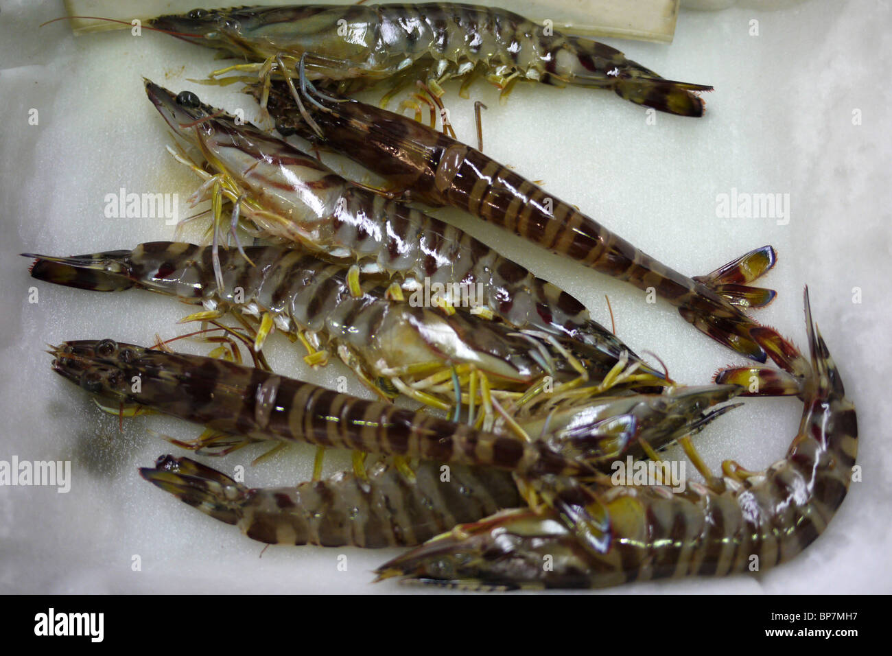 Japan, Tokyo food market fresh seafood Prawns on display Stock Photo ...