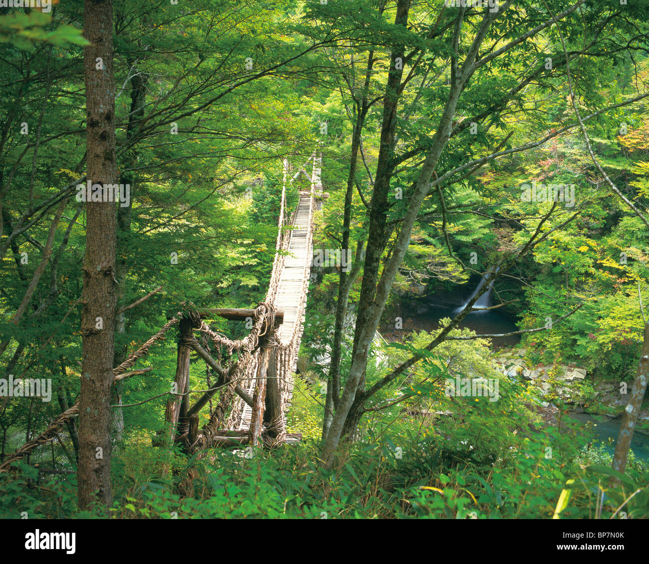 A Vine Bridge in Iya Valley, Miyoshi, Tokushima Prefecture, Japan Stock ...