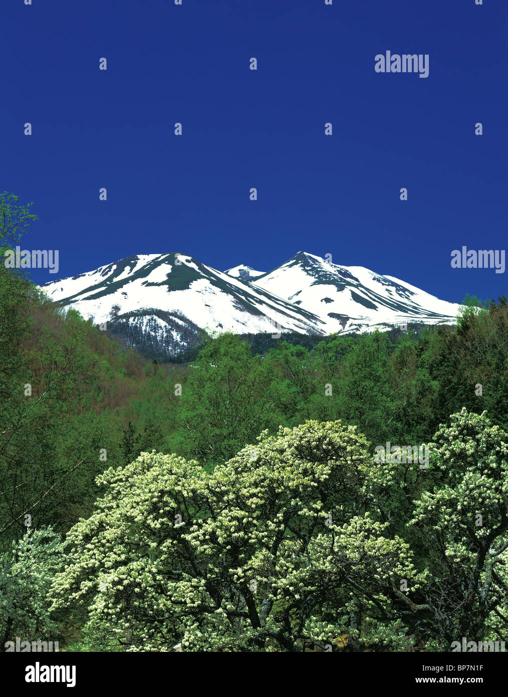 Mount Norikura, Japan Stock Photo - Alamy