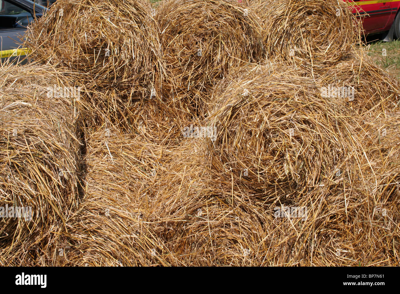 Round straw bales Stock Photo - Alamy