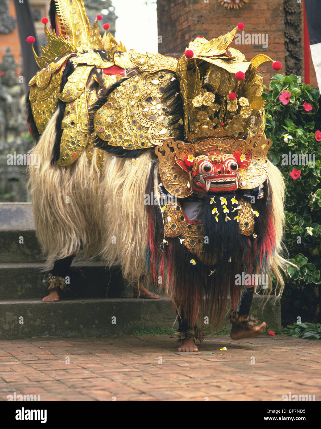 Two People in a Costume Perform the Traditional Barong Dance. Bali ...