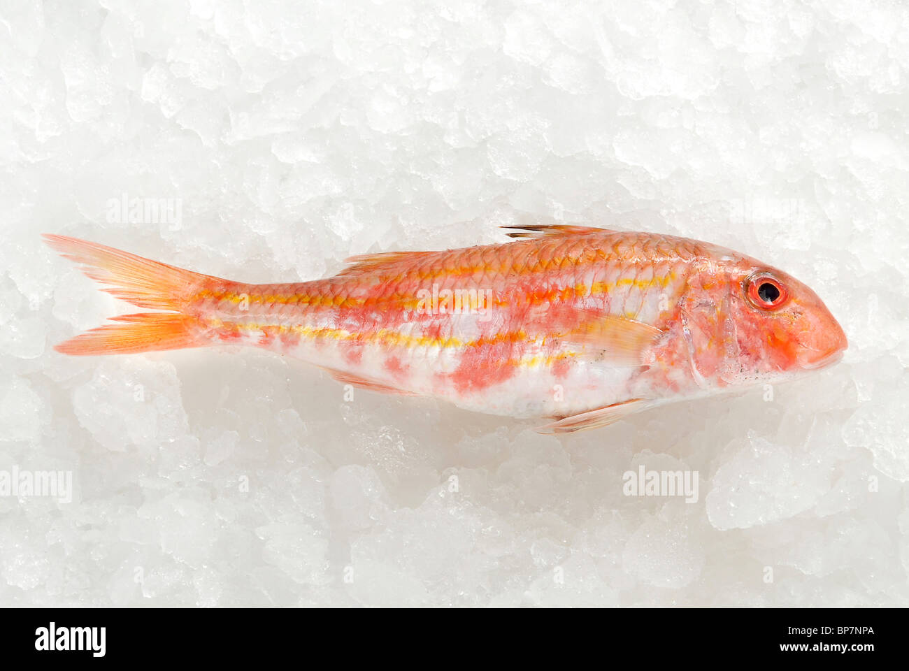 Kosher food fish hi-res stock photography and images - Alamy