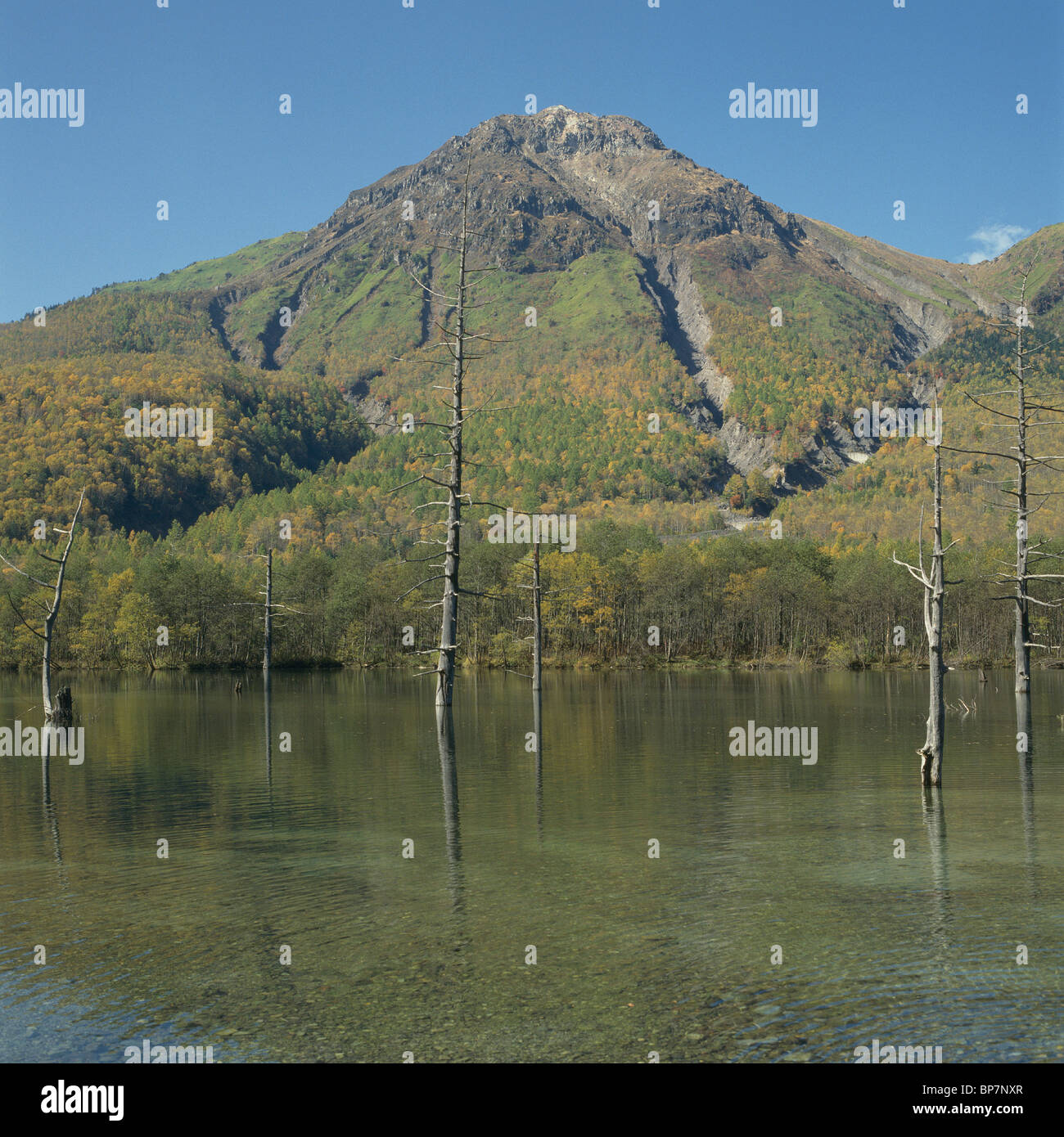 Taisho hi-res stock photography and images - Alamy