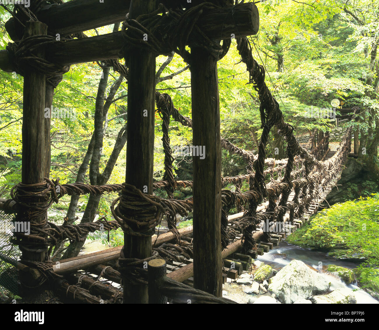 A Vine Bridge in Iya Valley, Miyoshi, Tokushima Prefecture, Japan Stock ...
