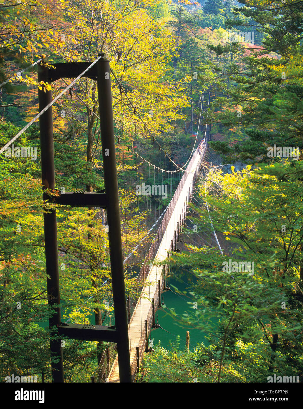 Lush forests japan High Resolution Stock Photography and Images - Alamy