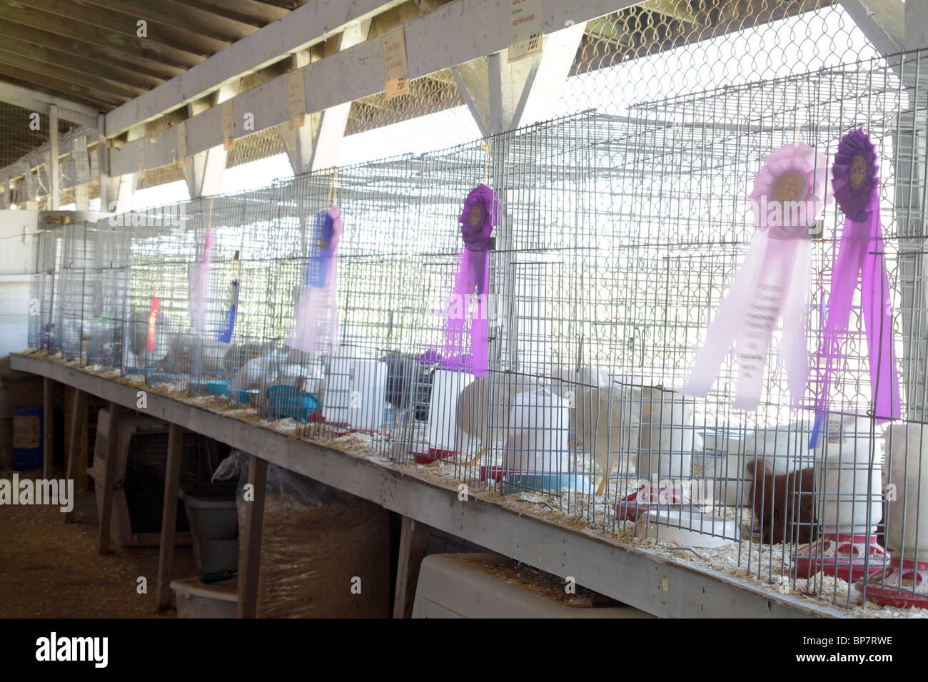 Prize ribbons hi-res stock photography and images - Alamy