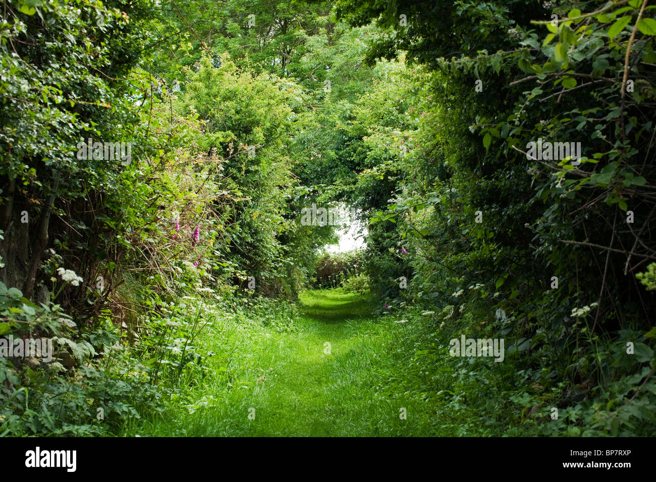 Ballynoe Stone Circle near Downpatrick, Northern Ireland Stock Photo ...
