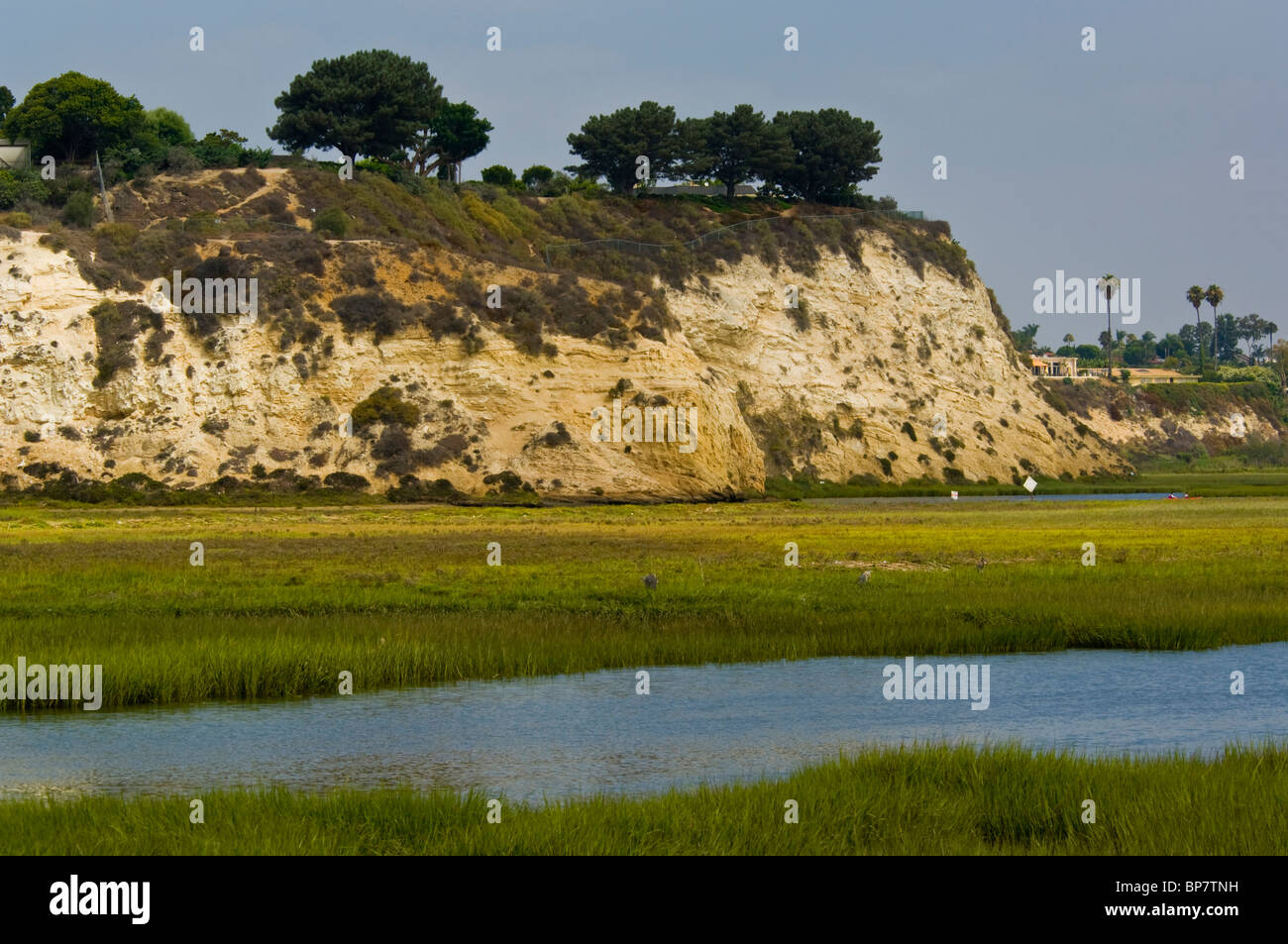 Cliffs above the Upper Newport Bay Ecological Reserve, Newport Beach ...