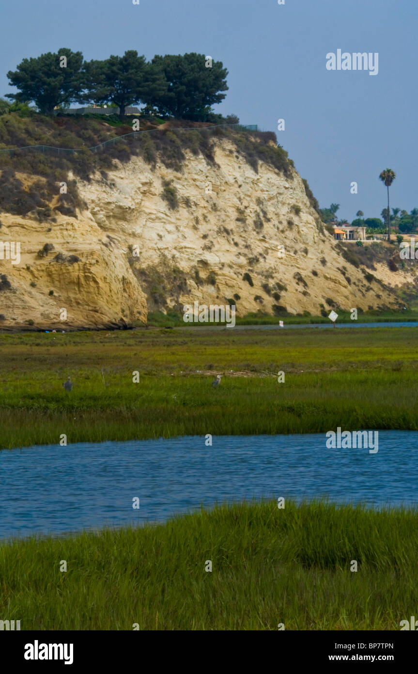 Cliffs above the Upper Newport Bay Ecological Reserve, Newport Beach ...