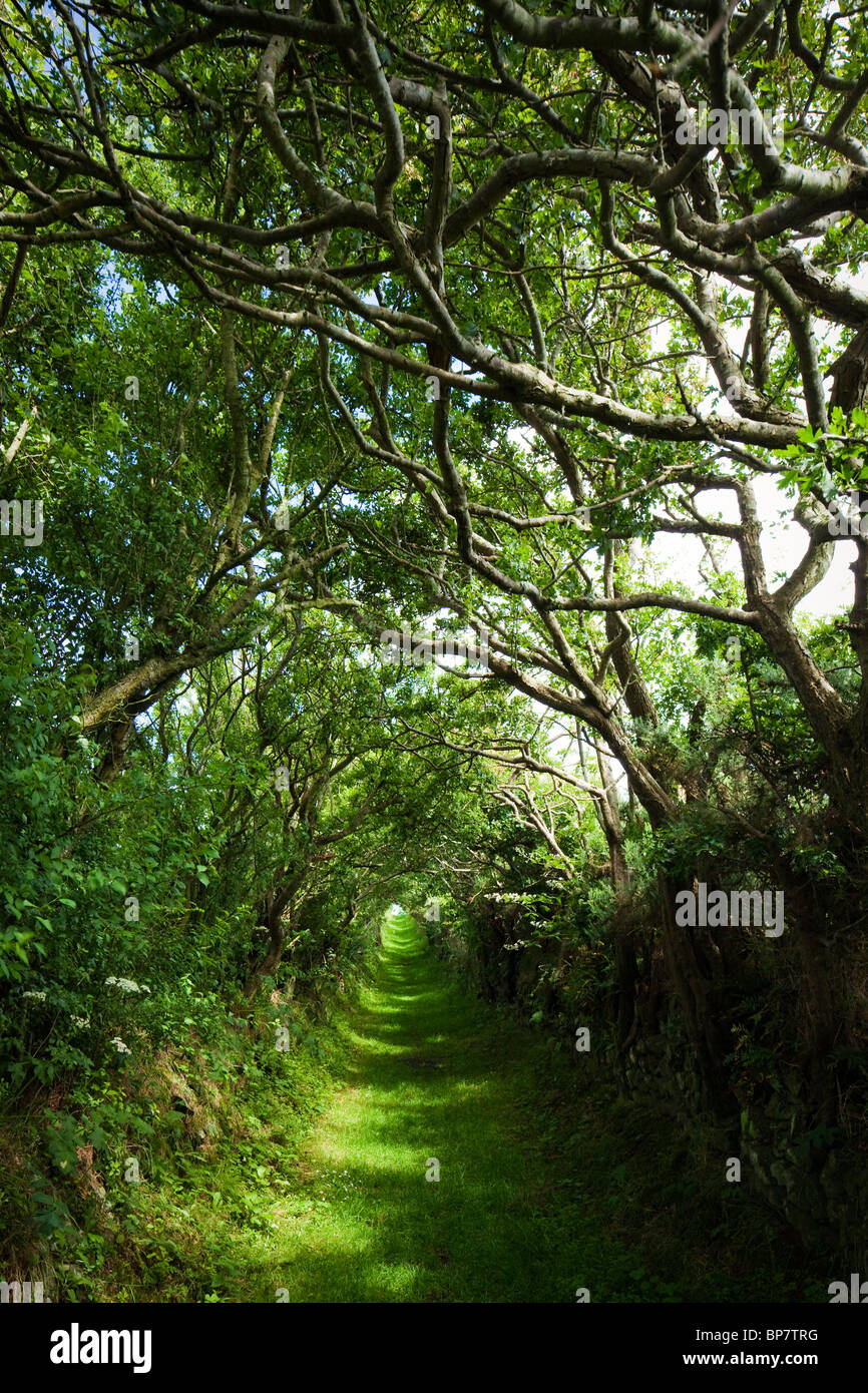 Ballynoe Stone Circle near Downpatrick, Northern Ireland Stock Photo ...