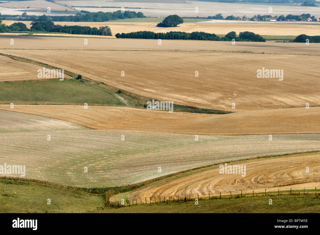 Harvested corn fields in Wiltshire, England, UK Stock Photo - Alamy