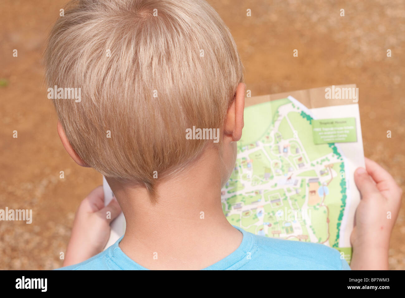 A child reading a map Stock Photo - Alamy
