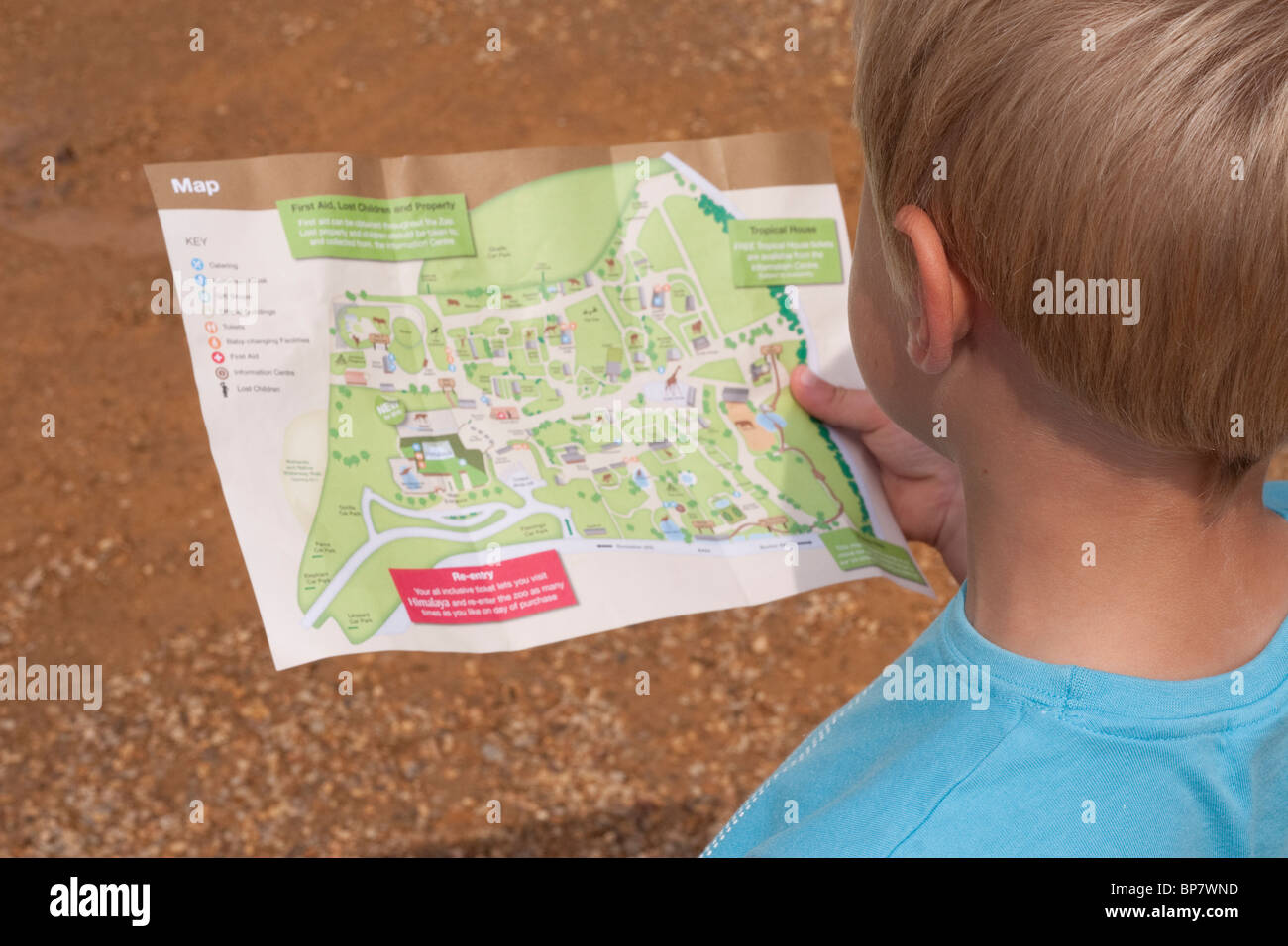 A child reading a map Stock Photo - Alamy