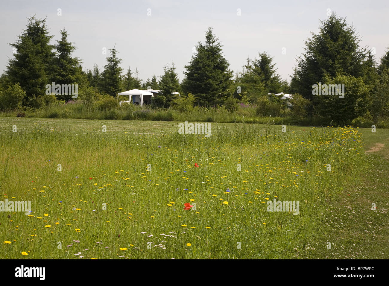 Dutch campsite in Rolde, Holland Stock Photo - Alamy