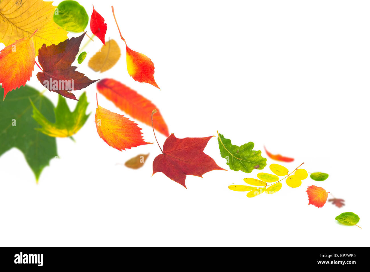 Flutter and fall hi-res stock photography and images - Alamy