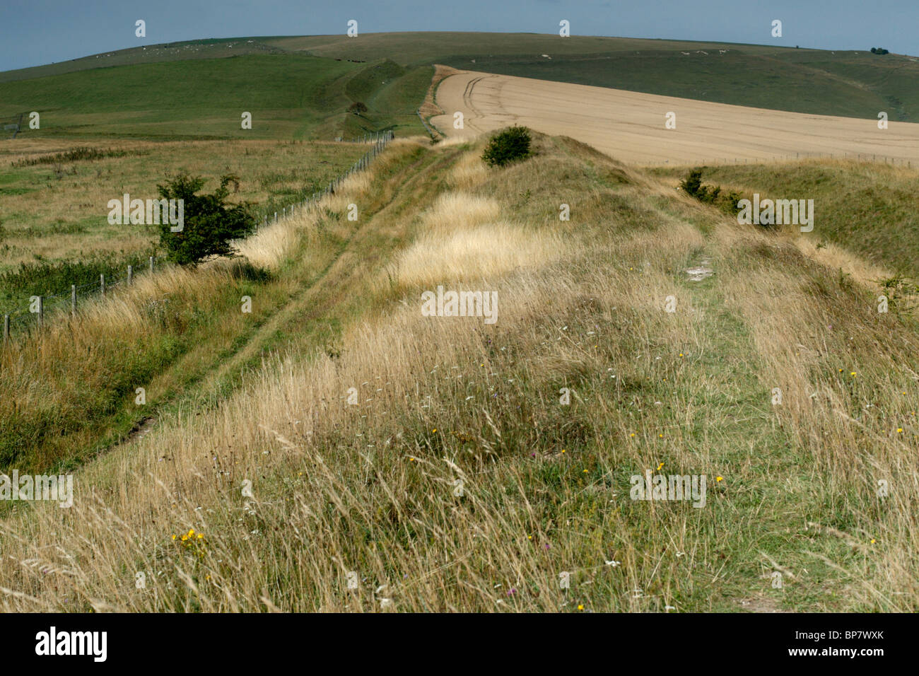 The Wansdyke in Wiltshire, England, UK Stock Photo - Alamy