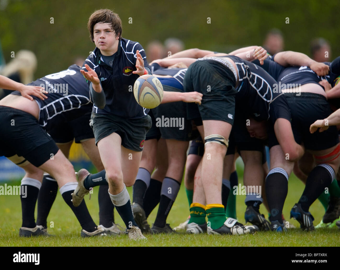 Dorchester to sherborne hi-res stock photography and images - Alamy