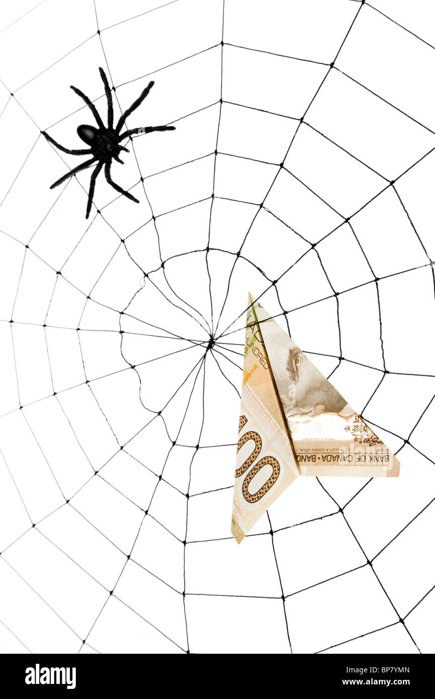 Spider Web and dollar, business concept Stock Photo - Alamy