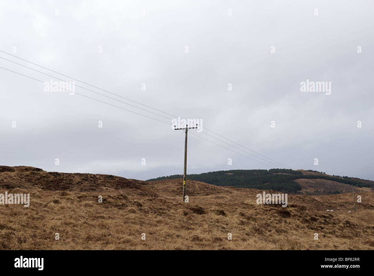 Overhead electricity power lines, Ardnamurchan, Scotland Stock Photo ...