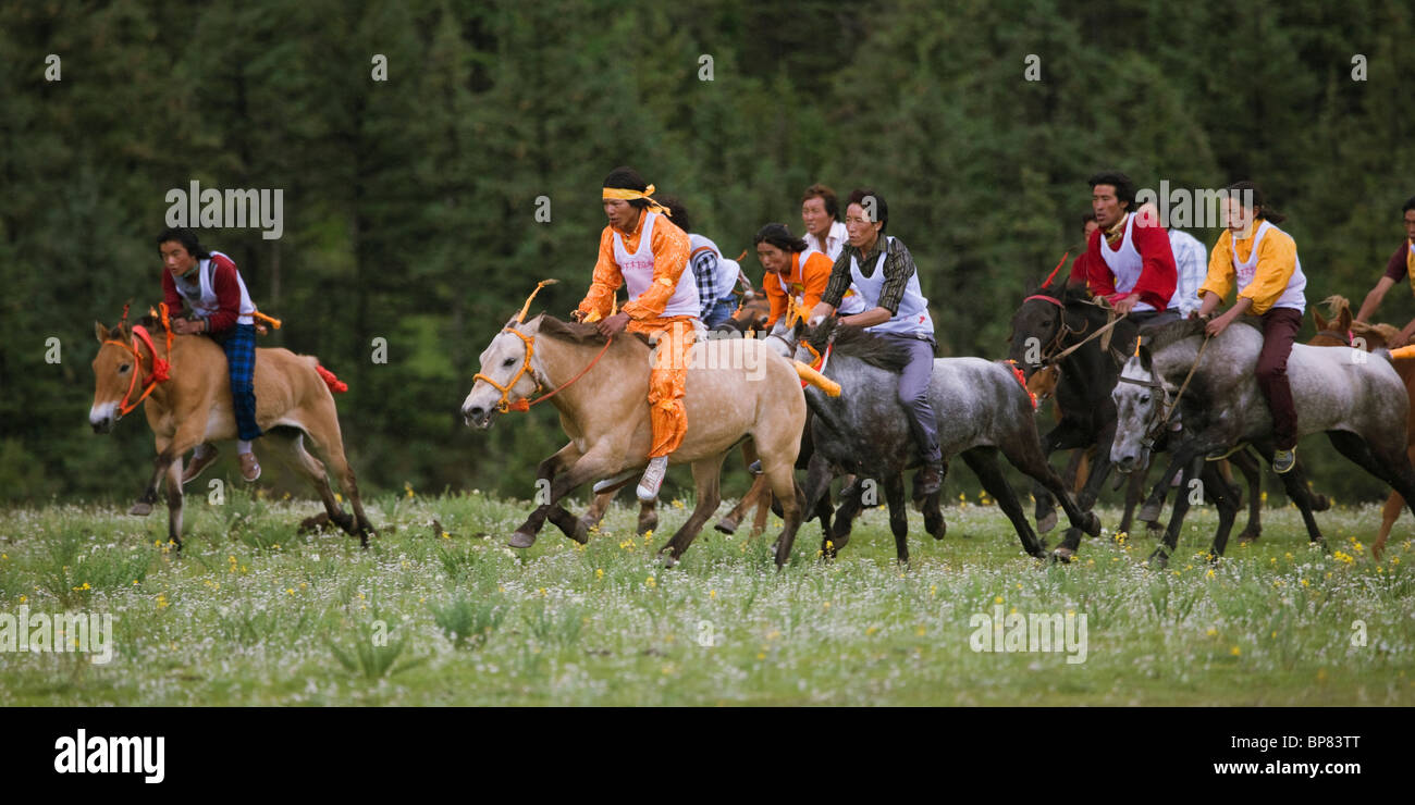 Horse Festival Litang Tibet China Tradition Khampa Stock Photo - Alamy