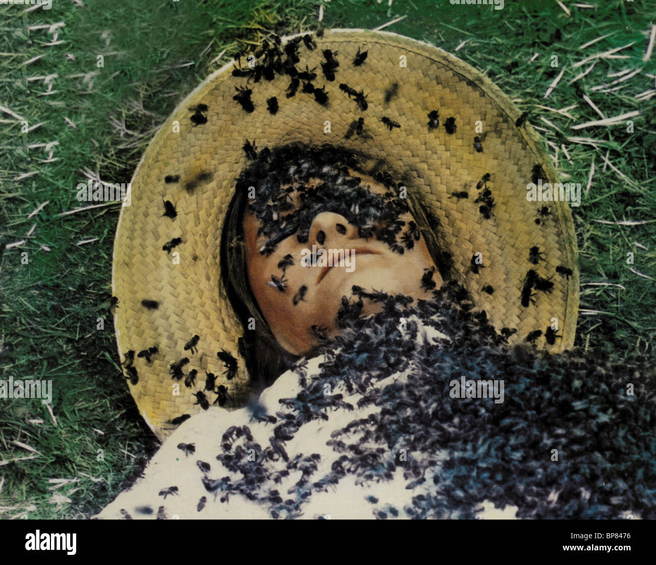 The Swarm 1978 High Resolution Stock Photography and Images - Alamy