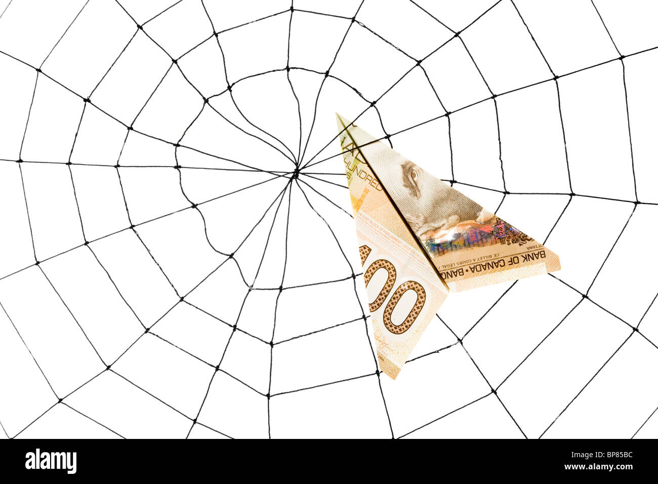 Spider Web and dollar, business concept Stock Photo - Alamy