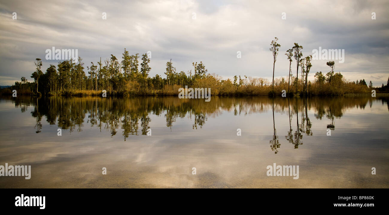 Still reflective waters with forest island Stock Photo - Alamy