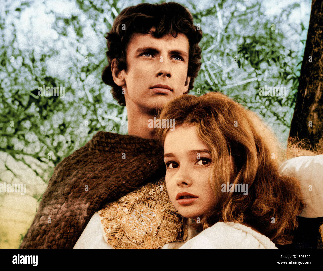 Pauline Challoner High Resolution Stock Photography and Images - Alamy