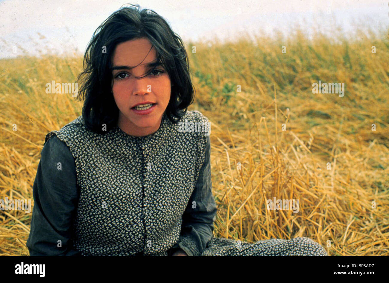 Brooke Adams High Resolution Stock Photography and Images - Alamy