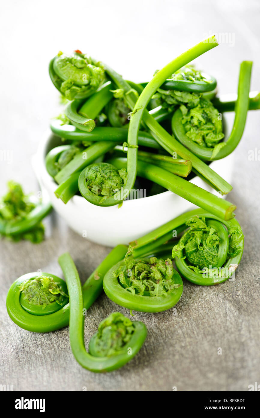 Fiddleheads hi-res stock photography and images - Alamy