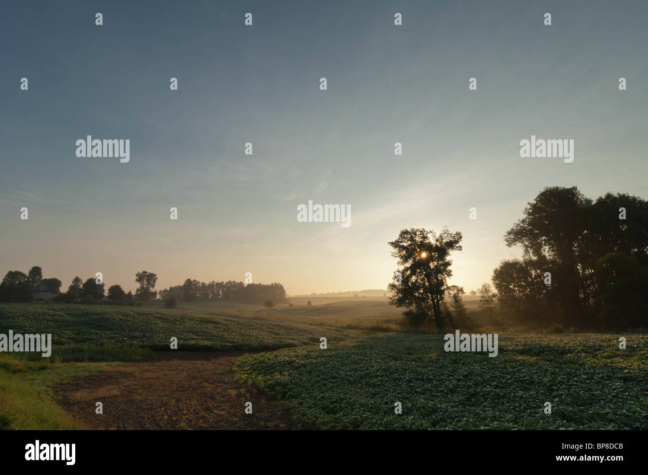 Dawn rural countryside hi-res stock photography and images - Alamy
